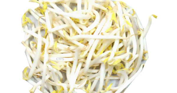 Veg - Bean Sprout (1kg Per Packet)