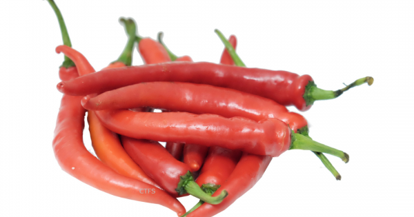 Veg - Chilli Red (Min. 100g)