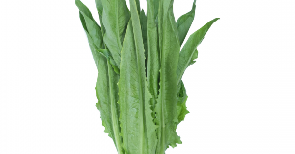 Veg - Yumai Cai China (Min. 500g)